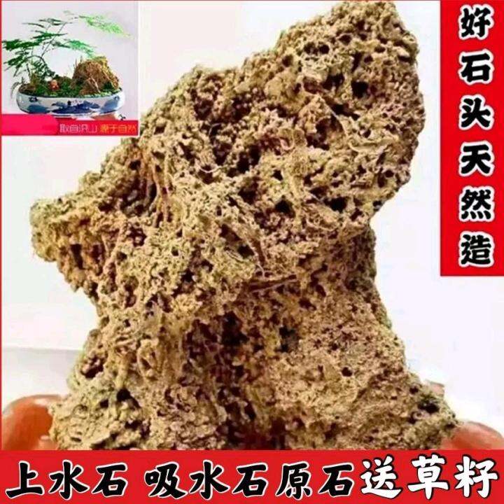 Absorbent Stone Raw Stone Water Stone Natural Rockery Stone Head Bonsai ...