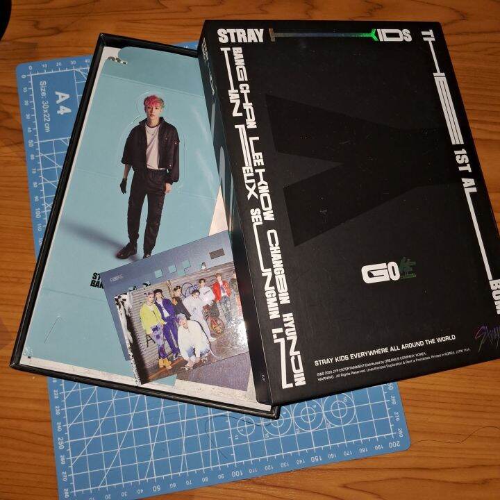 ALBUM ONLY OFFICIAL STRAYKIDS STRAY KIDS SKZ GO LIVE LIMITED VERSION ...