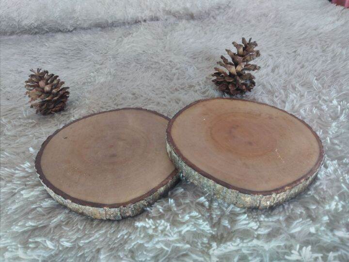 Wood Slice / Potongan Kayu /Talenan kayu | Lazada Indonesia