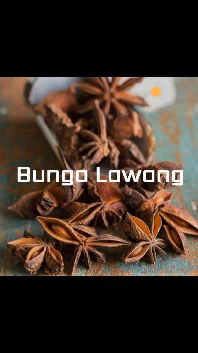 Bunga Lawang 50 gram pekak bumbu dapur bumbu masak rempah bahan masak ...
