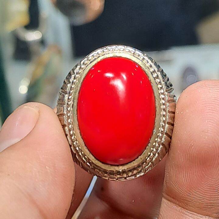 batu red marjan coral | Lazada Indonesia