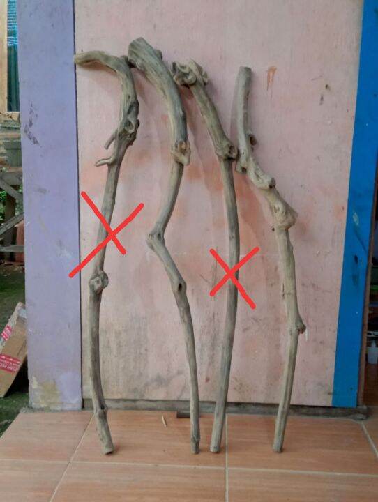 bahan tongkat kayu Tlogosari unik asli panjang 100 cm | Lazada Indonesia