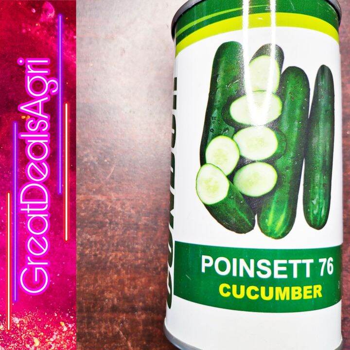 POINSETT 76 OPV CUCUMBER SEEDS (100 GRAMS) CONDOR SEEDS | Lazada PH
