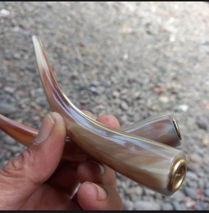 once pipa tanduk kerbau bule motif lengkung | Lazada Indonesia