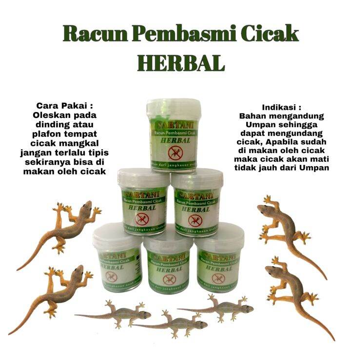 RACUN CICAK DAN TOKEK 15gr | Lazada Indonesia