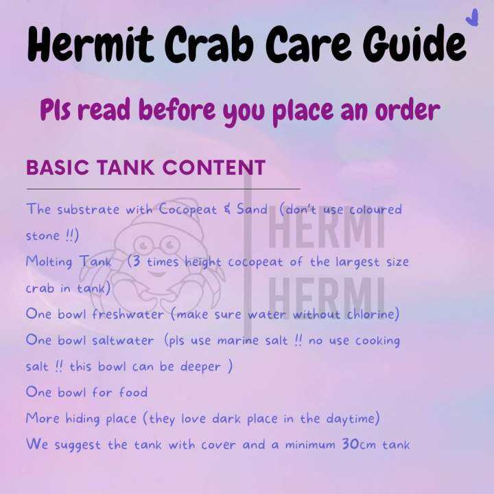 Hermit Crab Care Guide 寄居蟹饲养手册 | Lazada