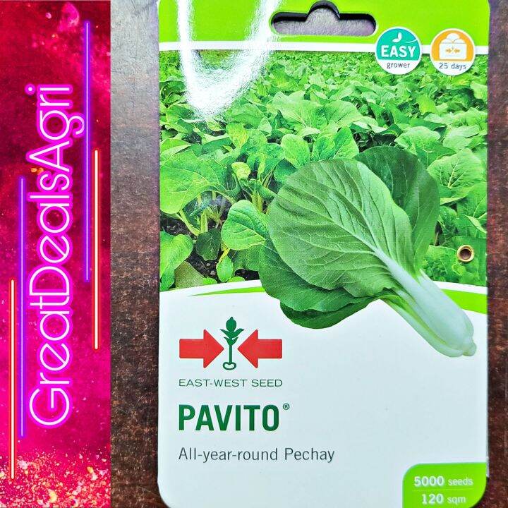 PAVITO OPV PETCHAY SEEDS (5000 SEEDS) EAST WEST SEEDS | Lazada PH