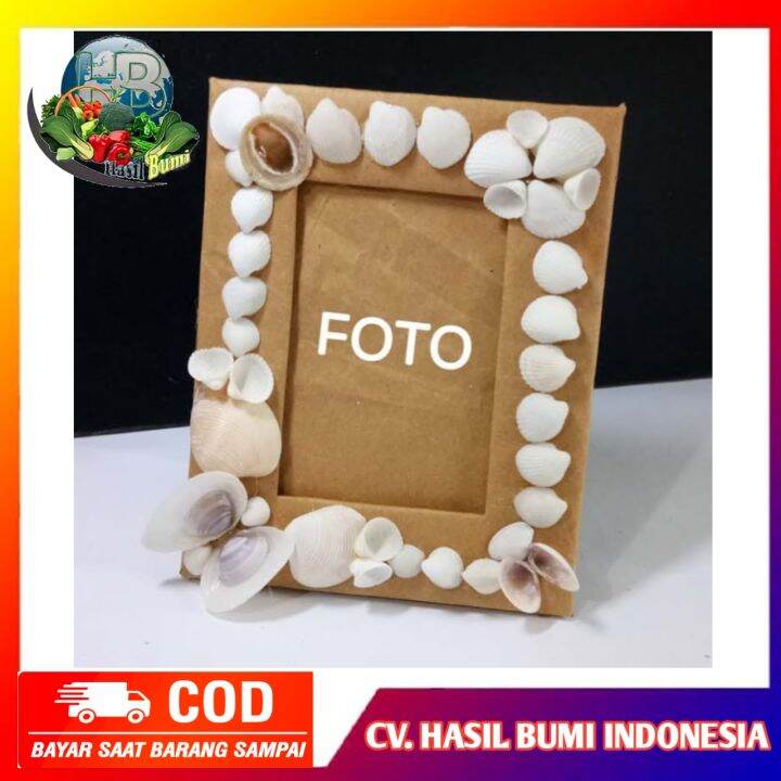 figura bingkai foto cangkang kerang kerajinan prakarya anak sekolah ...