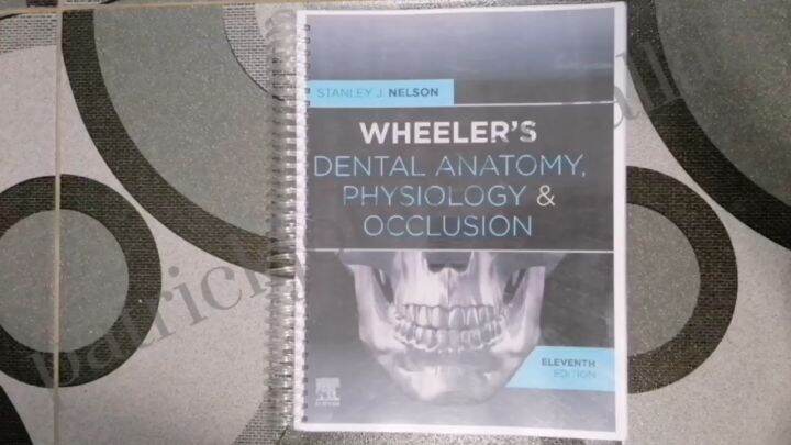 Wheeler's Dental Anatomy, Physiology and Occlusion, 11th Edition ...