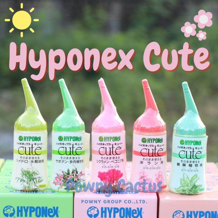 Hyponex Cute ปุ๋ยน้ำ นำเข้าจากญี่ปุ่น พร้อมส่ง ปุ๋ยไม้ใบ ไม้ดอก แคคตัส กล้วยไม้ | Lazada.co.th