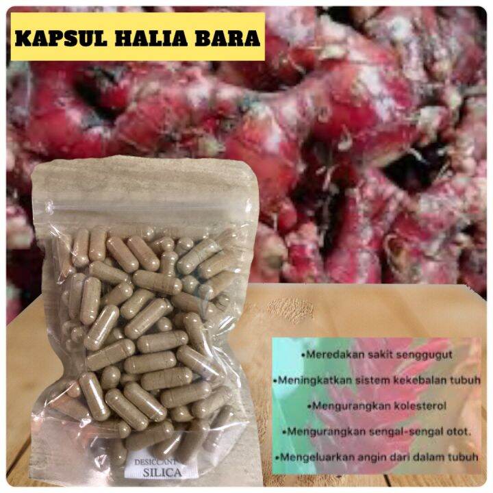 KAPSUL HALIA BARA 100biji | Lazada