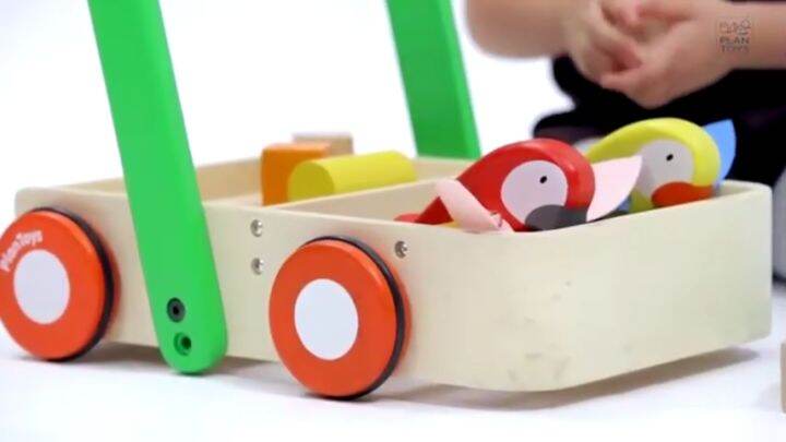 Bird Walker | Lazada