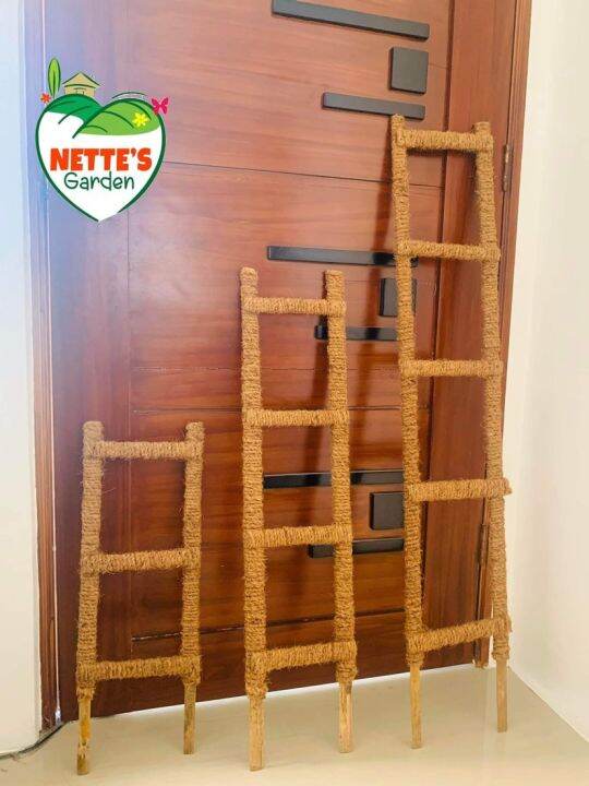 Coco ladder/Trellis-4Ft | Lazada PH