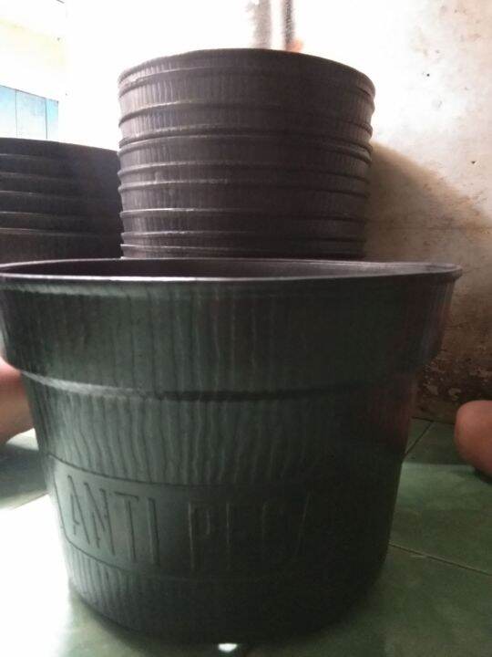 pot tanaman BUNGA yasindo uk 32/ pot BUNGA KARET anti PECAH cap kuda ...