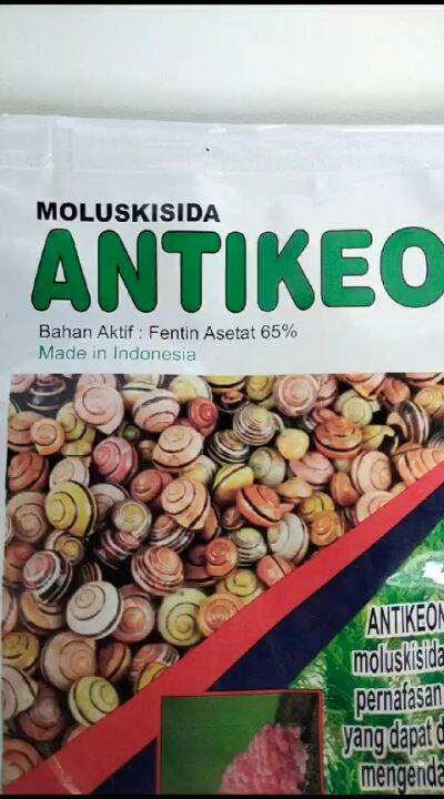 RACUN KEONG SAWAH ANTI KEONG 65WP 100gr Bahan Aktif Fentin Asetat 65% ...