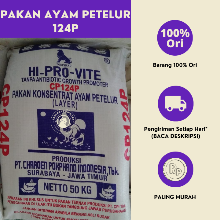 Konsentrat Ayam Petelur 124P (Butiran Halus) 1 Kg | Lazada Indonesia