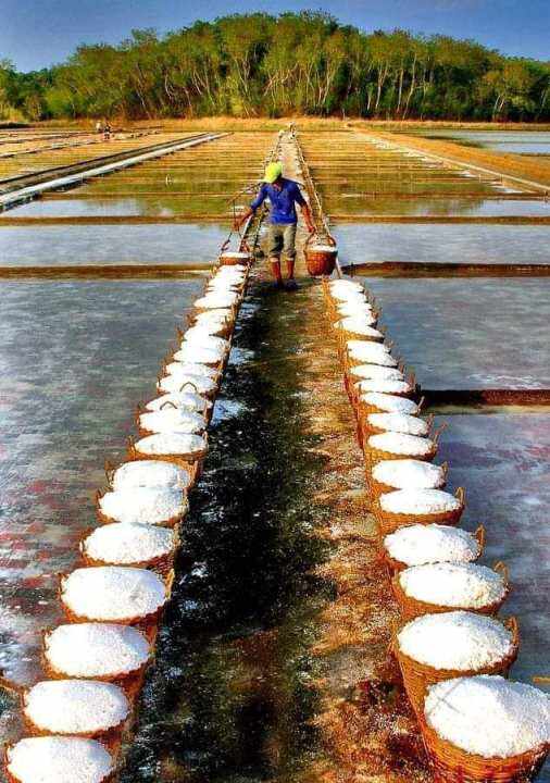 Asin PURE SEA SALT from Pangasinan 2 Kilos | Lazada PH