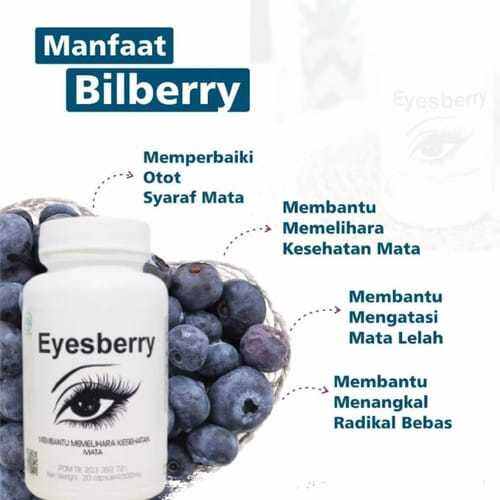 eyesberry vitamin kesehatan mata Eyes berry obat mata | Lazada Indonesia