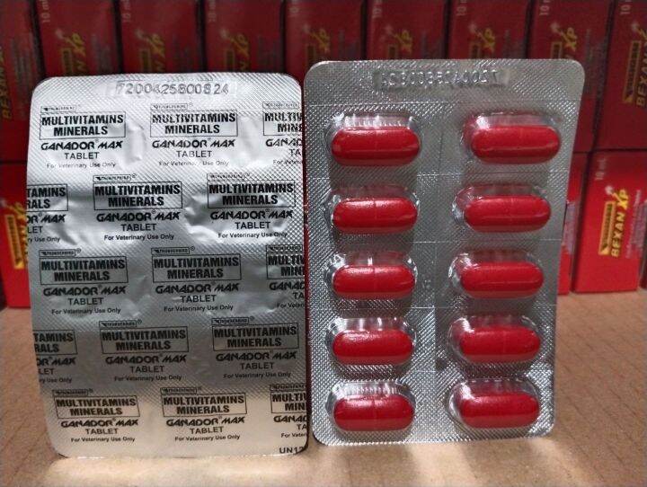 GANADOR MAX Tablet (1banig) | Lazada PH