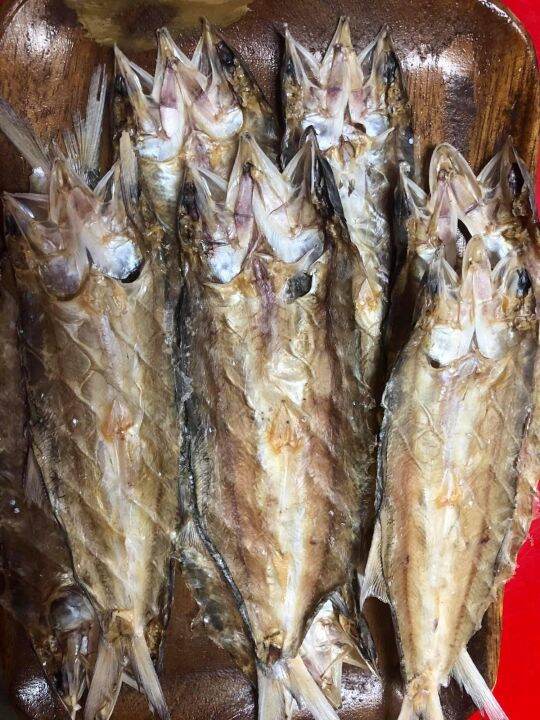 Boneless Daing Bidbid- 100 grams | Lazada PH