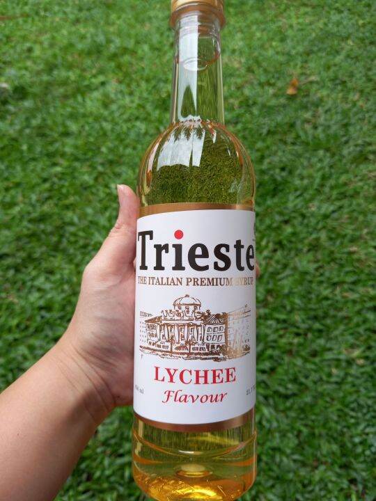 trieste syrup rasa lychee 650ml | Lazada Indonesia