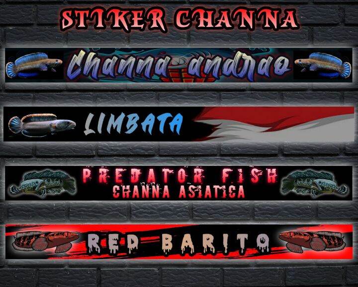 STIKER KEREN AQUARIUM AKUARIUM IKAN PREDATOR CHANNA | Lazada Indonesia