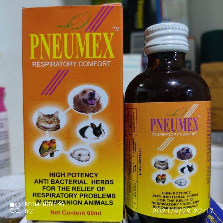 PNEUMEX (60ml) respiratory comfort | Lazada PH