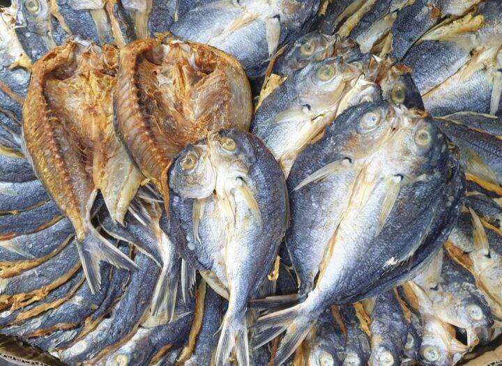 Solid blue dried fish 500g | Lazada PH