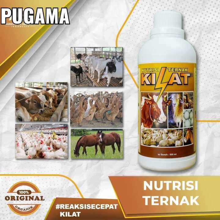 NUTRISI TERNAK KILAT 500Ml | Lazada Indonesia