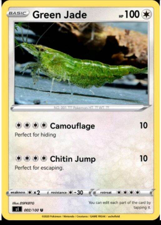 Algae Eater Trading Card - Neo Caridina Collection | Lazada PH