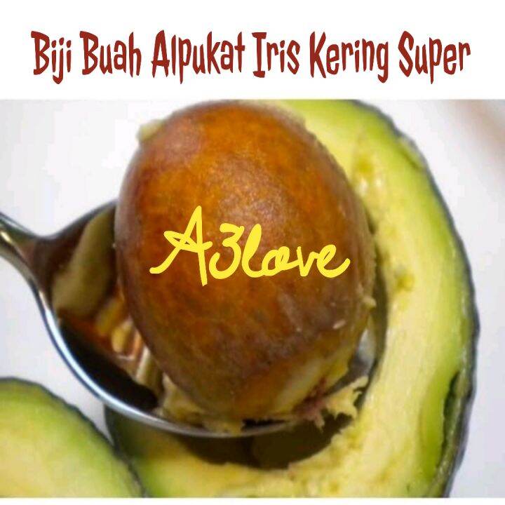 Biji Alpukat kering iris Herbal | Lazada Indonesia