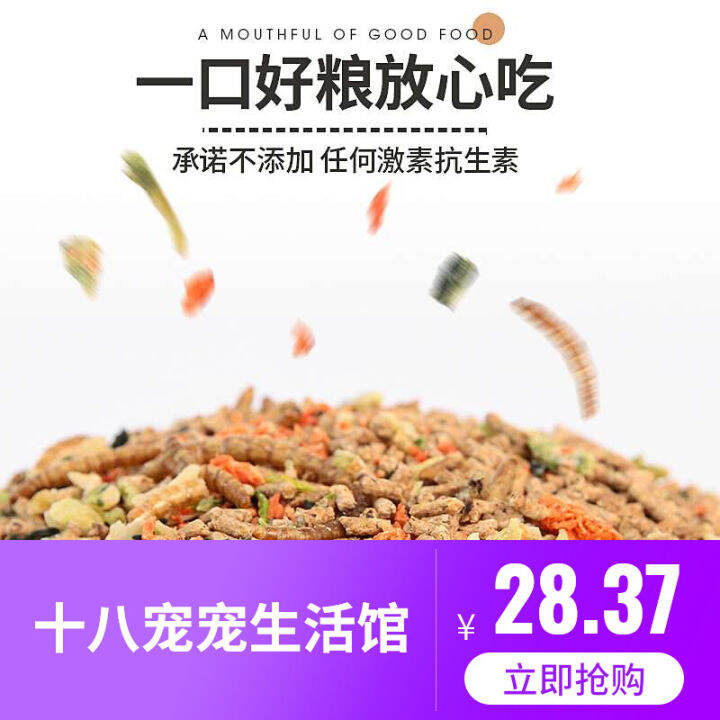 Rutin Chicken Laying Eggs and Laying Eggs Grains Mixed Vegetable Grains ...