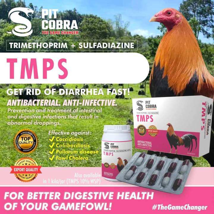 Pit Cobra TMPS / 50 Capsules / Gamefowls Pigeons Poultry Supplement ...