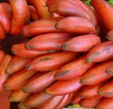 PISANG MERAH ATAU PISANG UDANG 1 KG | Lazada Indonesia