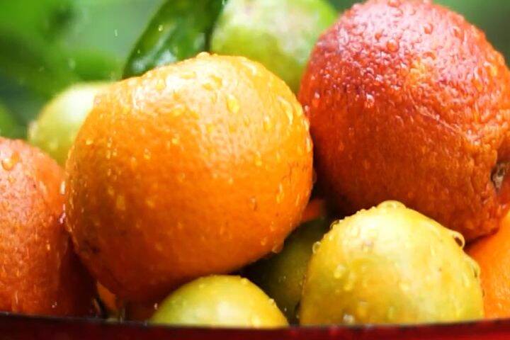 Royale Grocer Fresh Valencia Orange - 1pc/5pcs per pack Oren 水橙 | Lazada