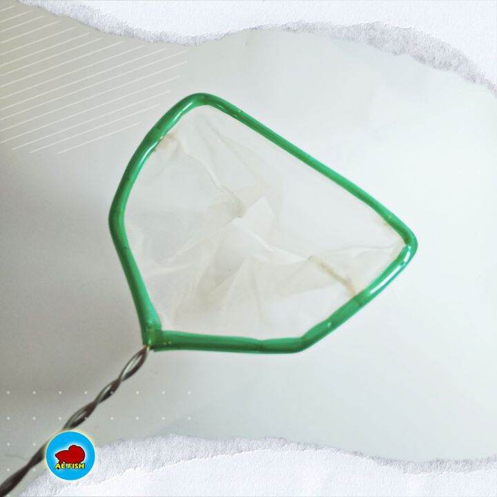 Serok seser ikan hias 10cm untuk serok ikan dikolam dan aquarium ...