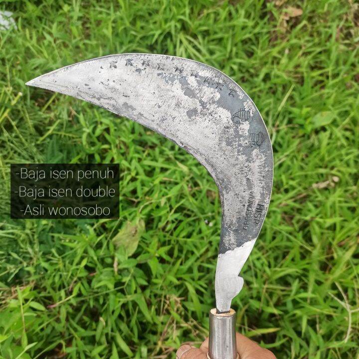 sabit ngarit rumput baja isen full double tembus asli wonosobo | Lazada ...