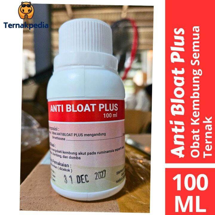 Obat Kembung Ternak - Anti Bloat Plus 100 ml - Mirip Banget Sama ...
