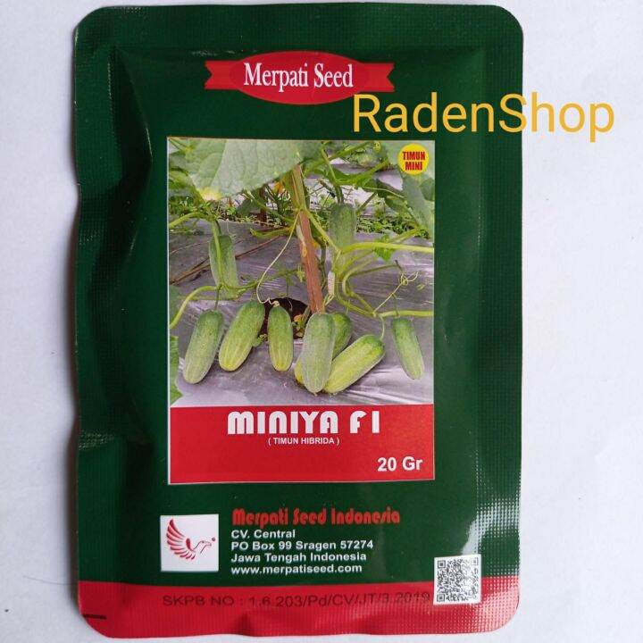 Bibit Timun Baby MINIYA F1 Isi 20 Gram | Benih Timun Mini | Mentimun ...