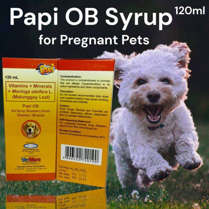 Papi OB for Pregnant Pets (120ml) | Lazada PH