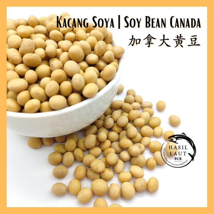 Kacang Soya | Soy Bean Canada 加拿大黄豆 (500g/1KG) | Lazada