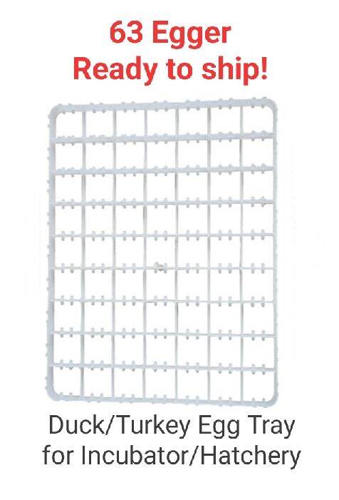 2 pcs incubator egg hatching tray (63 duck eggs capacity) | Lazada PH