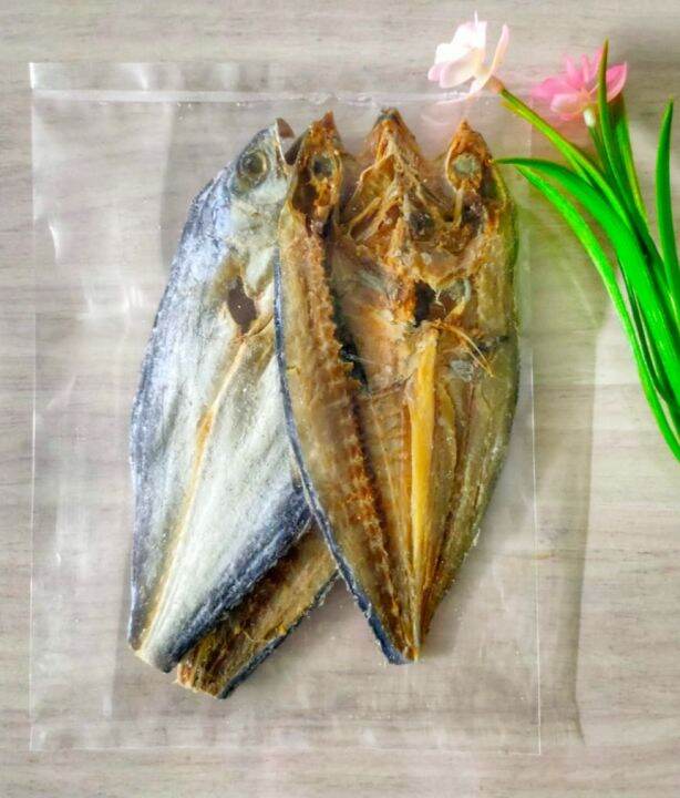 ikan talang padi | Lazada