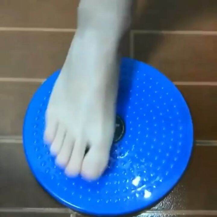 Waist Twisting Disc Board Twist Boards Foot Massage Plate Twister ...