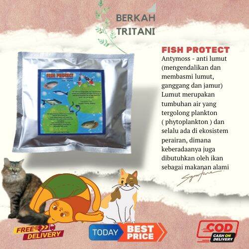 Fish Protect 100 Gram Obat Ikan Penyembuh Bakteri Aeromonas | Lazada ...