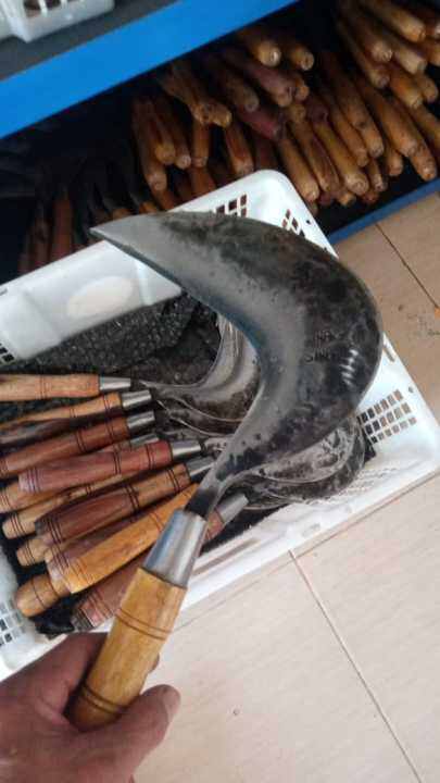 Sabit pemotong rumput ALAT BERLADANG BERTANI PERKAKAS PERKEBUNAN ...