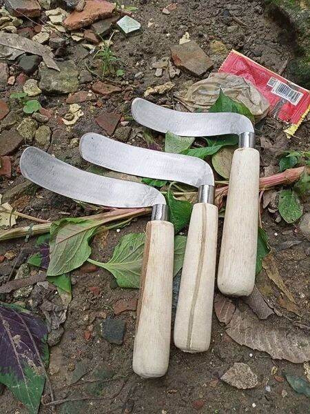 alat congkel kelapa/kopra biji kelapa | Lazada Indonesia