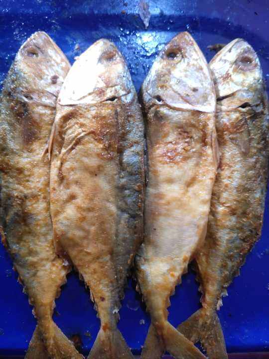 IKAN ASIN PEDA MERAH 250g. | Lazada Indonesia