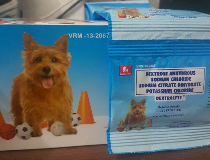 DEXTROLYTE ELECTROLYTE POWDER 5grams (sold per 1sachet) | Lazada PH