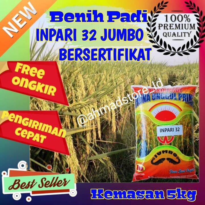 Benih padi Inpari 32 Jumbo bersertifikat label ungu kemasan 5kg | Lazada Indonesia